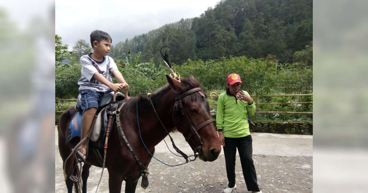 Serunya Menunggang Kuda di Grojogan Sewu | BeritaBojonegoro.com
