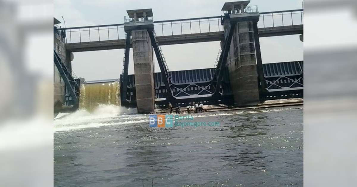 Perbaikan Bendungan Gerak Mulai Fokus Bangun Bronjong ...