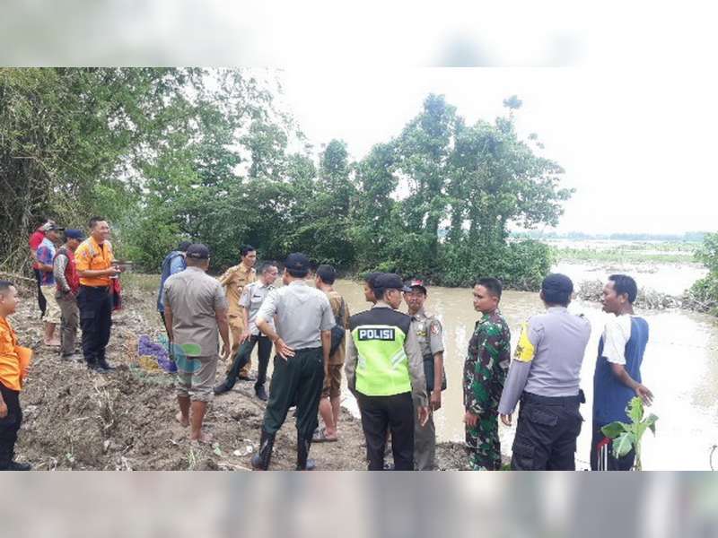 Tanggul Kali di Baureno Bojonegoro Jebol, 80 Hektare Area Pesawahan Warga Terrendam ...