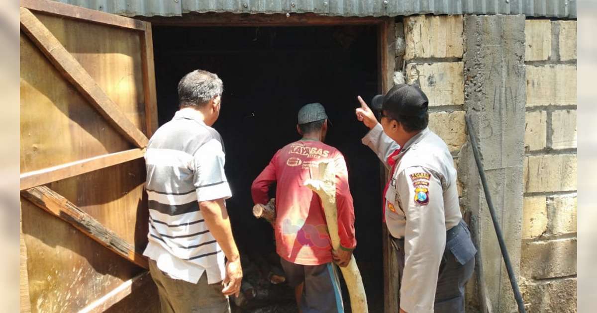 Gudang Pengeringan Tembakau di Temayang Bojonegoro Terbakar, Kerugia Rp ...