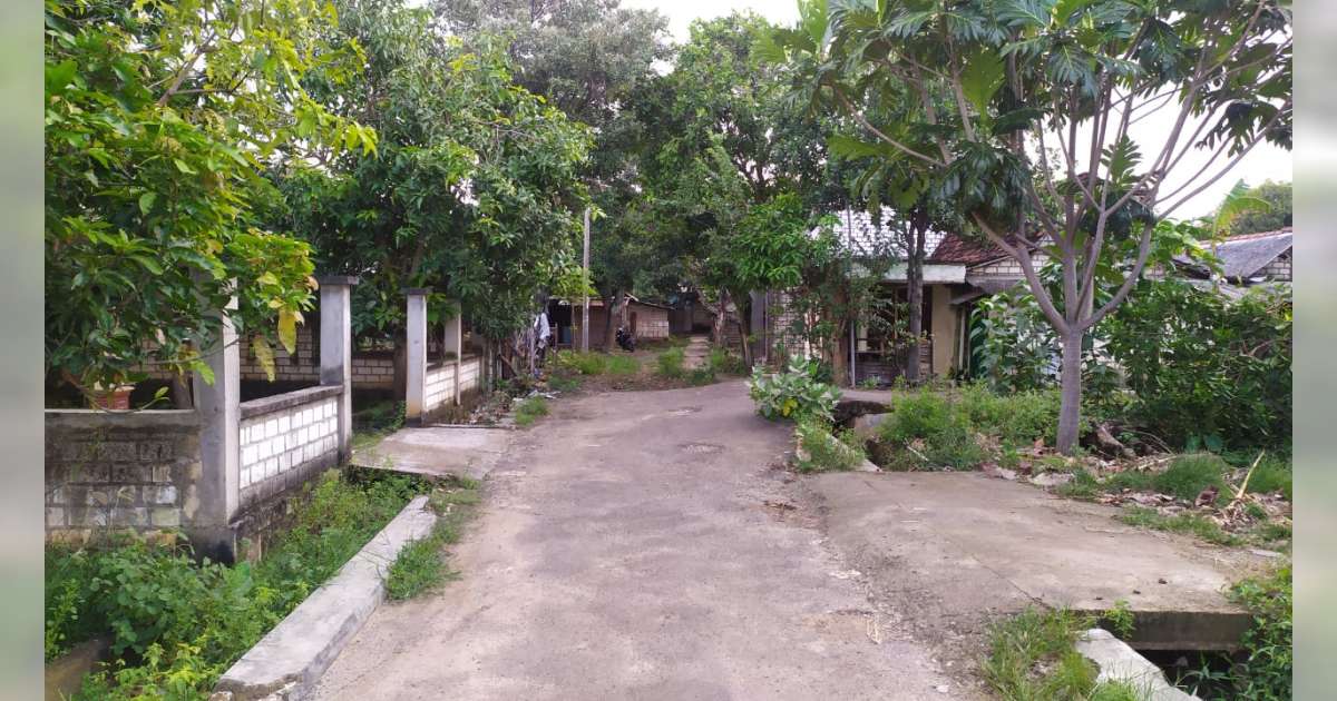 Kisah di Balik Desa Miliarder di Tuban, Tiga Dusun di Desa Wadung ...