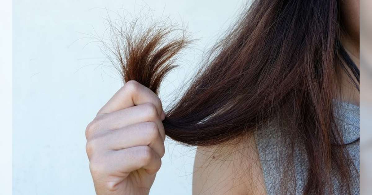 Kenali Permasalahan Rambut dan Solusinya | BeritaBojonegoro.com