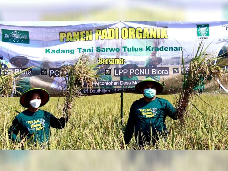 Bupati Arief Rohman Dorong Petani Blora Beralih Tanam Padi Organik | BeritaBojonegoro.com