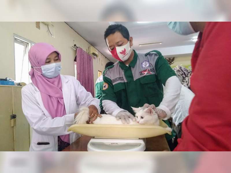 Peringati World Rabies Day, Pemkab Bojonegoro Gelar Vaksinasi Rabies ... Peringati World Rabies Day, Pemkab Bojonegoro Gelar Vaksinasi Rabies ...