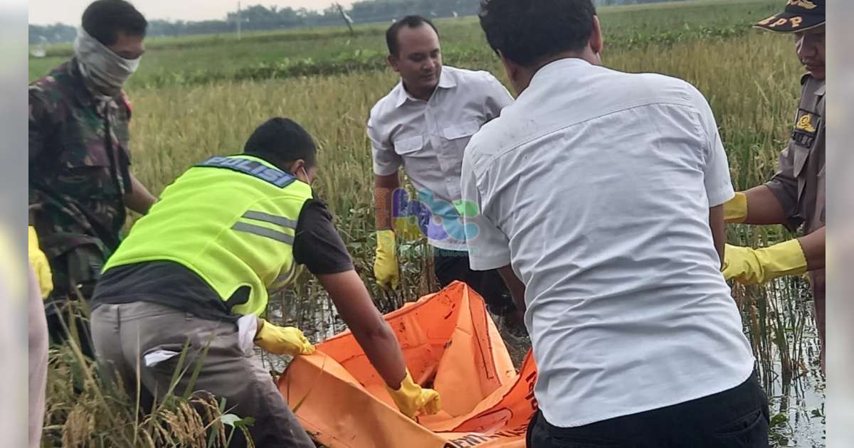 Sesosok Mayat Perempuan Ditemukan di Area Persawahan Kalitidu ...