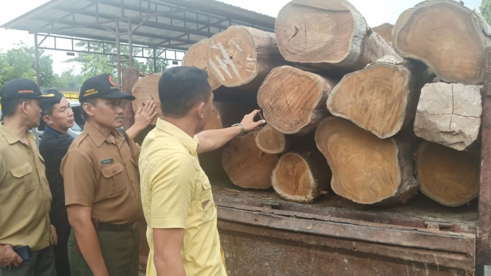 Perhutani Bersama Polres Blora Amankan 45 Batang Kayu Jati, Diduga ... Perhutani Bersama Polres Blora Amankan 45 Batang Kayu Jati, Diduga ...